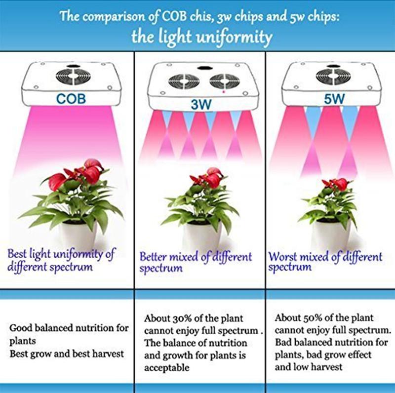 Best COB LED Grow Light 2021 For Indoor Gardens - Reviews & Buying Guide