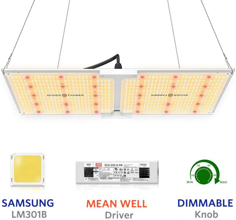 Best Full Spectrum Led Grow Lights of 2021: Reviews The Authentic Top 10