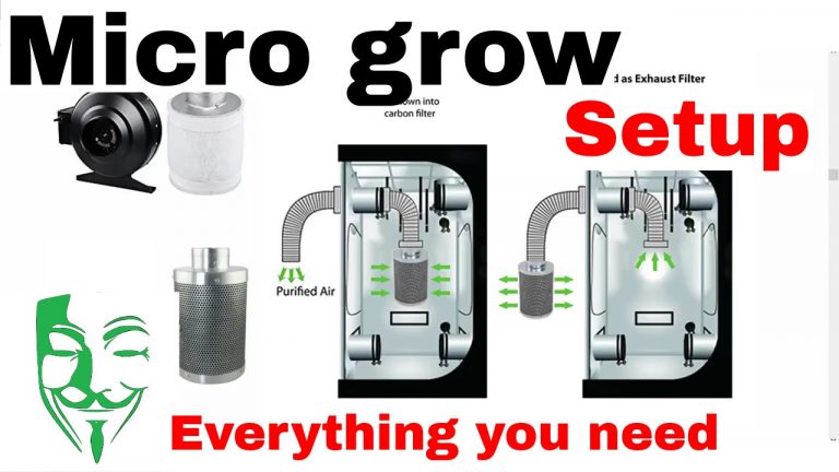 Best Micro Grow SetUp | Micro Grow Box [2026 Version]