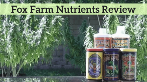 Fox Farm Nutrients Review (FoxFarm Big Bloom, Grow Big, Tiger Bloom)
