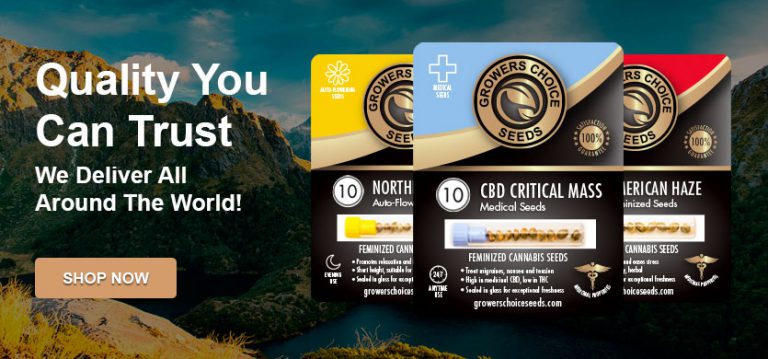 Growers Choice Seeds Reviews | Is Growers Choice Seeds Legit