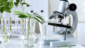 Best Marijuana and Cannabis Microscope for Trichomes Reviews