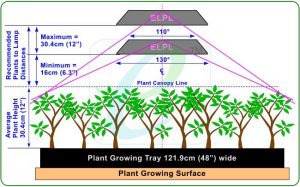 Led Grow Light Distance Chart Guide- 101GrowLights